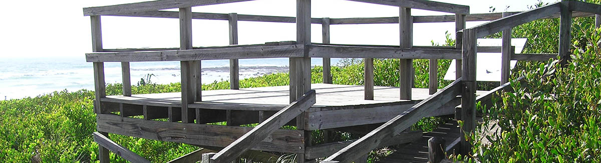 Viewing Platforms | Wagners CFT